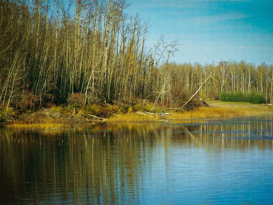 Parks & Open Spaces | Lac Ste. Anne County