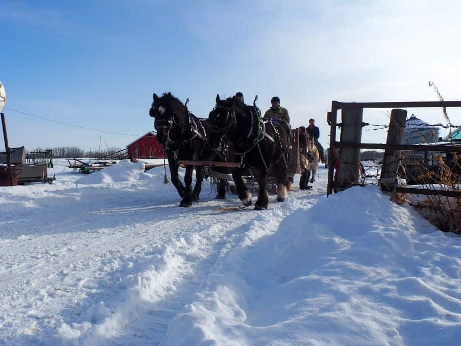 Maps & Geospatial Data | Lac Ste. Anne County