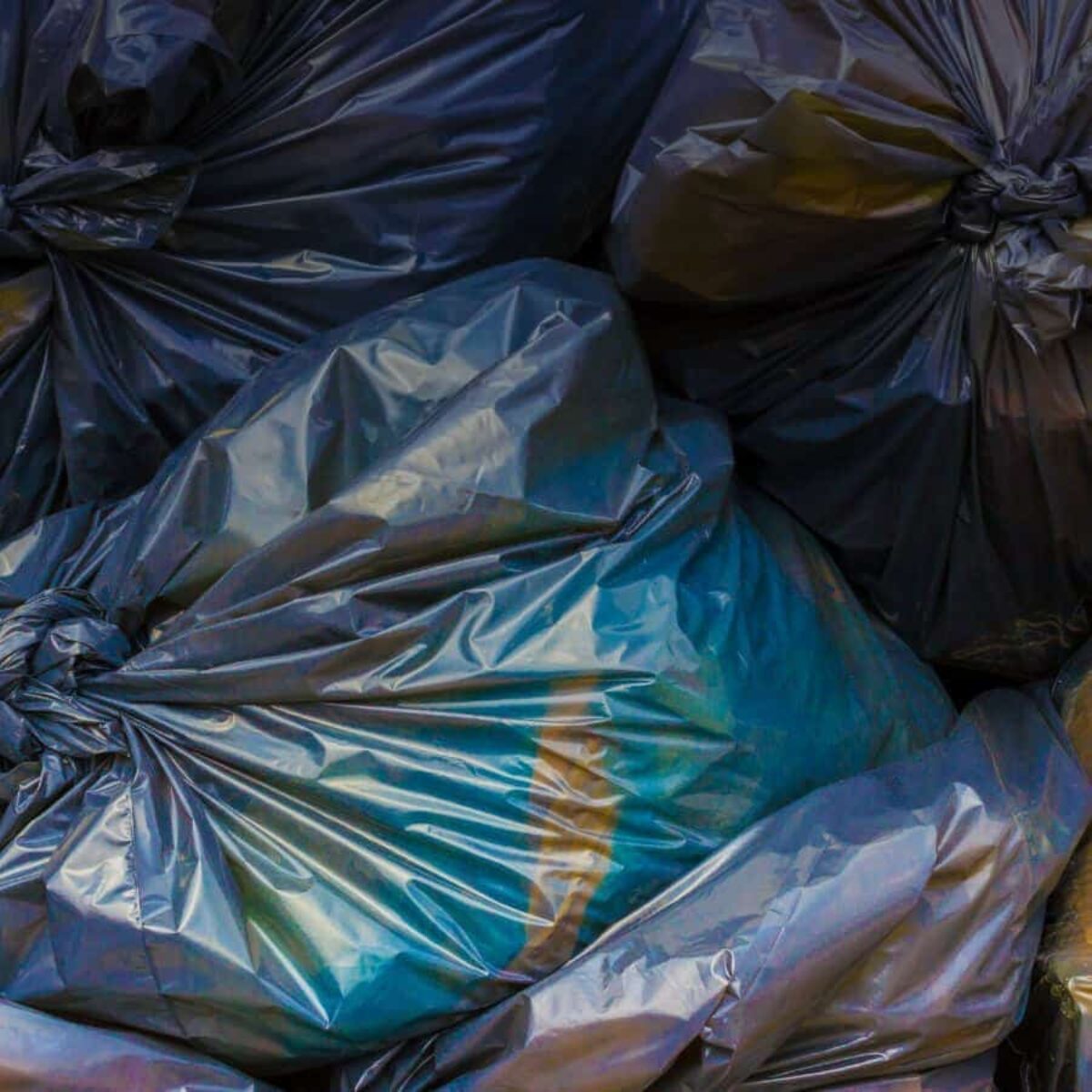 Lessard Lake Public Campground | Lac Ste. Anne County